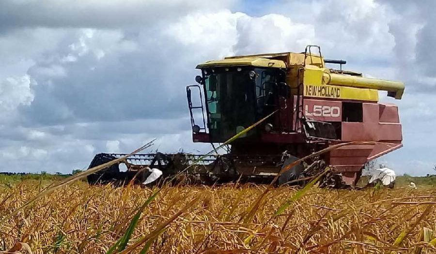En su última etapa Proyecto de colaboración Cuba-Viet Nam para el ... En su última etapa Proyecto de colaboración Cuba-Viet Nam para el ...
