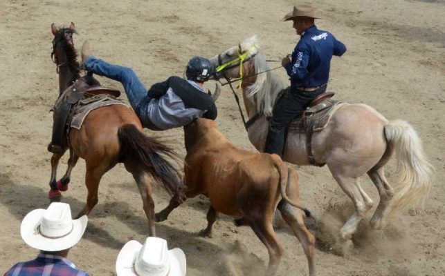 En Sancti Spíritus gran fiesta del rodeo cubano | Radio Sancti Spíritus